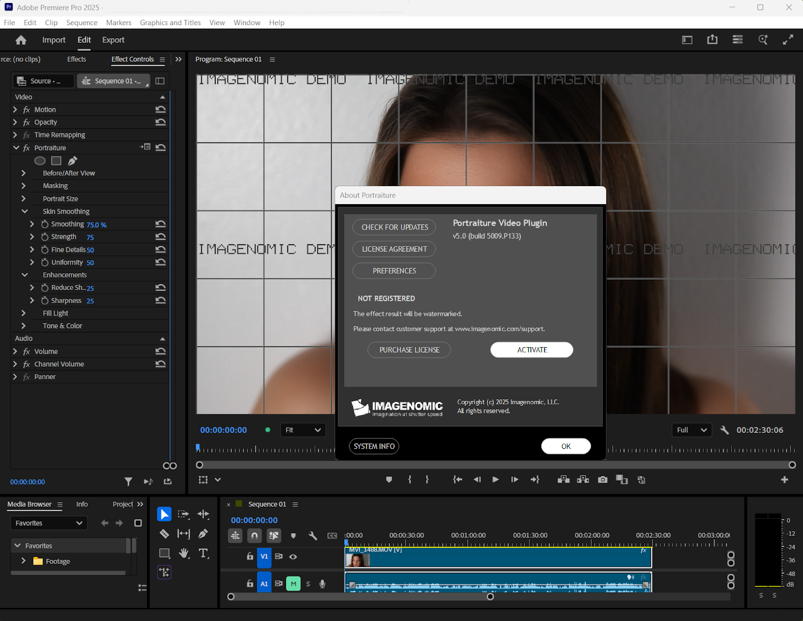 How do I activate the Video Suite in Adobe Premiere Pro? – Imagenomic ...